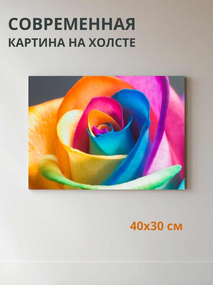 Картина на холсте Радужная роза 40x30 см
