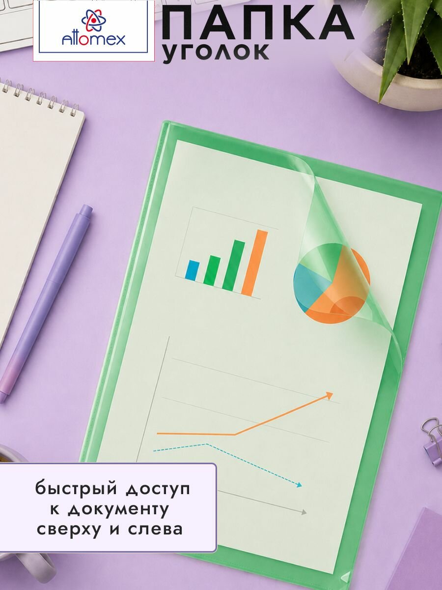 Папка-уголок для документов А4 4 штук — фото 1