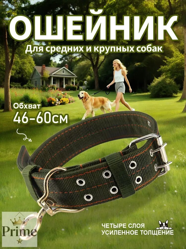 Усиленный нейлоновый ошейник с вертлюгом для собак средних и крупных пород / ширина 50 мм, длина 70 см, также подходит для ягнят и телят