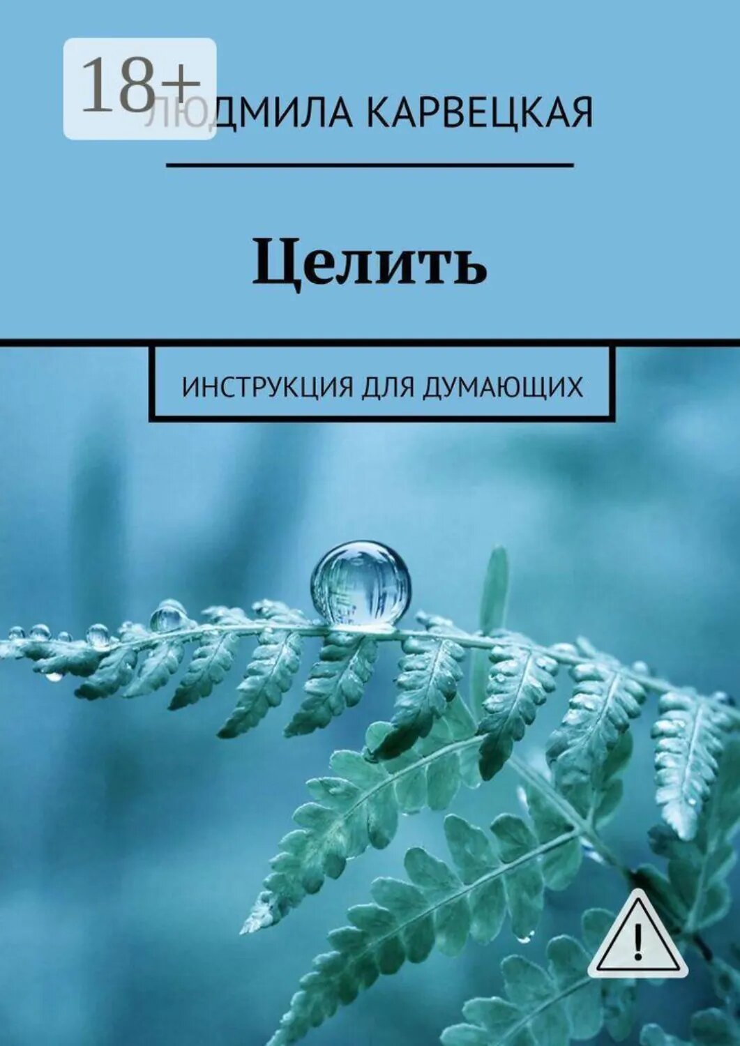 Целить. Инструкция для думающих [Цифровая книга]