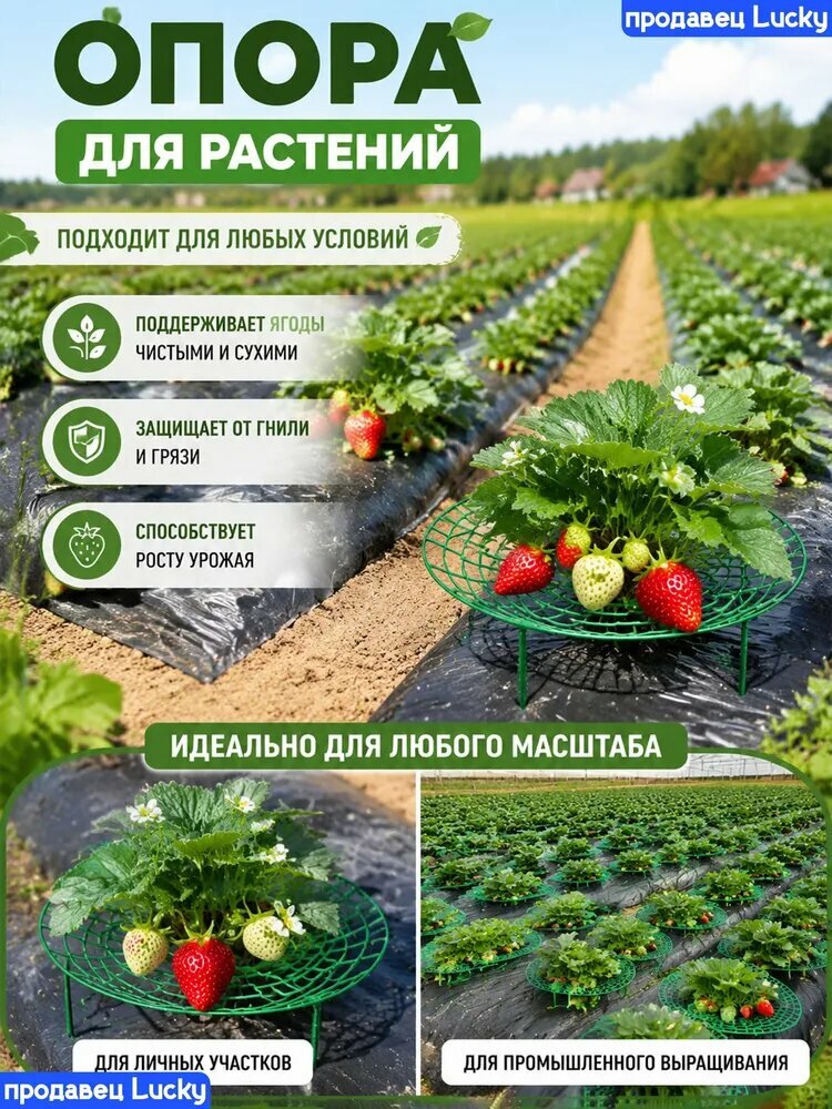 Шпалера,31см,10шт — фото 1