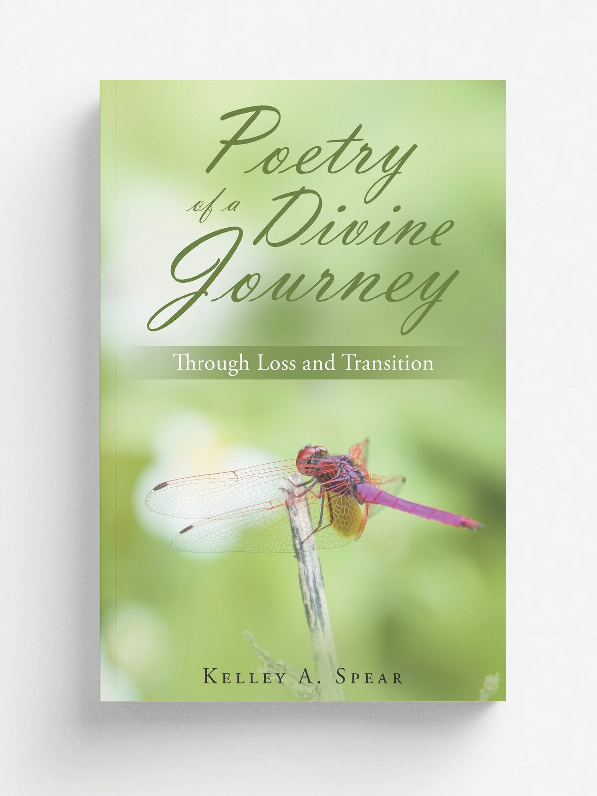 Poetry of a Divine Journey. Through Loss and Transition