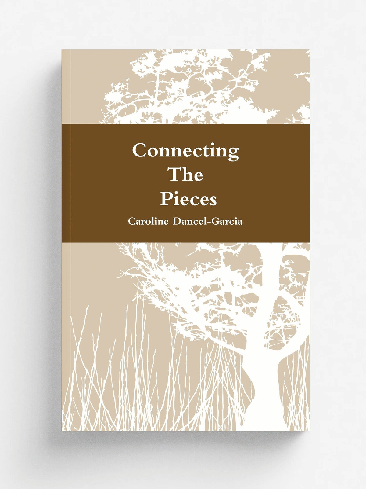 Connecting The Pieces. A Family's Life Story