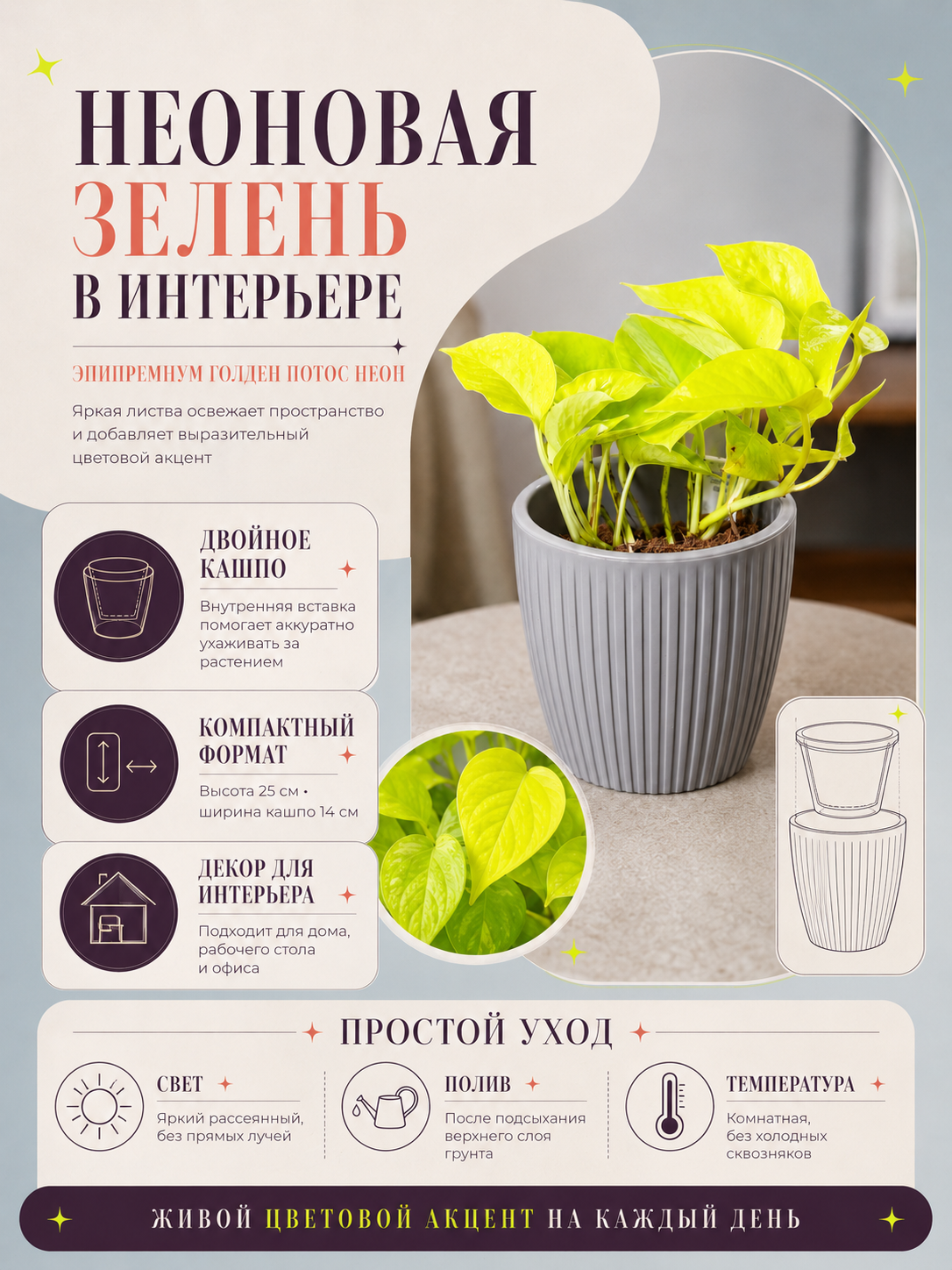 Geo Glass — Эпипремнум Голден Потос Неон в сером двойном кашпо с дренажной вставкой, живая лиана 25 см для дома и офиса