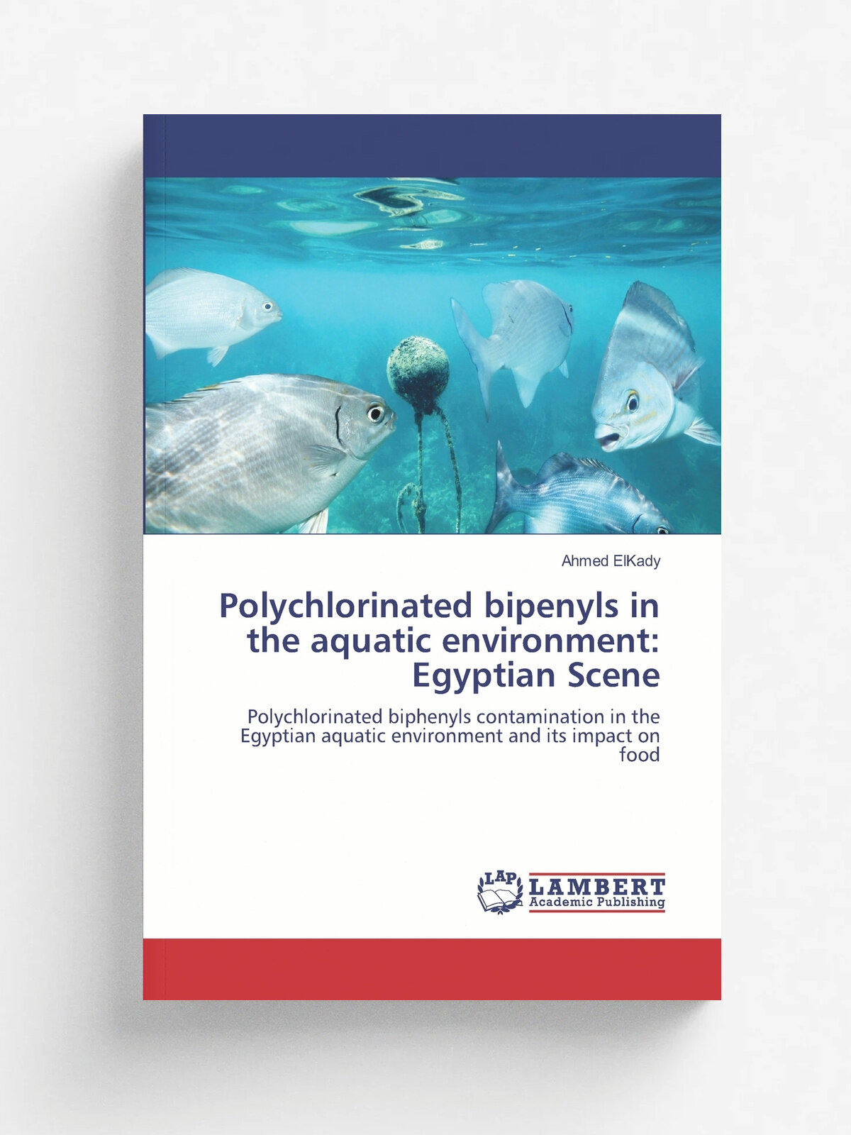 Polychlorinated bipenyls in the aquatic environment. Egyptian Scene