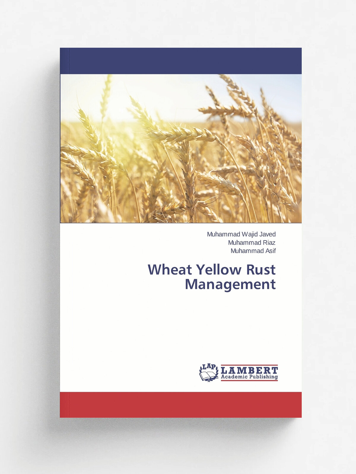 Wheat Yellow Rust Management