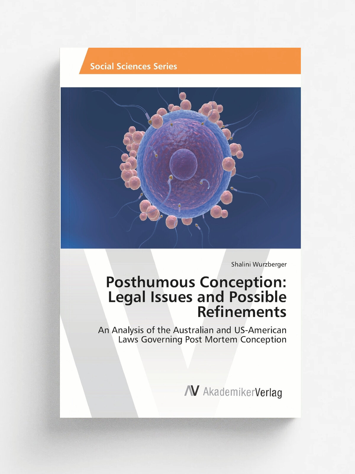Posthumous Conception. Legal Issues and Possible Refinements