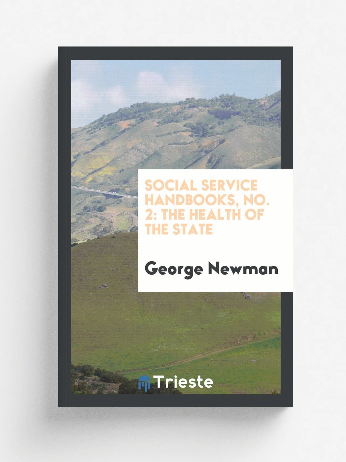Social service handbooks, No. 2. The health of the state