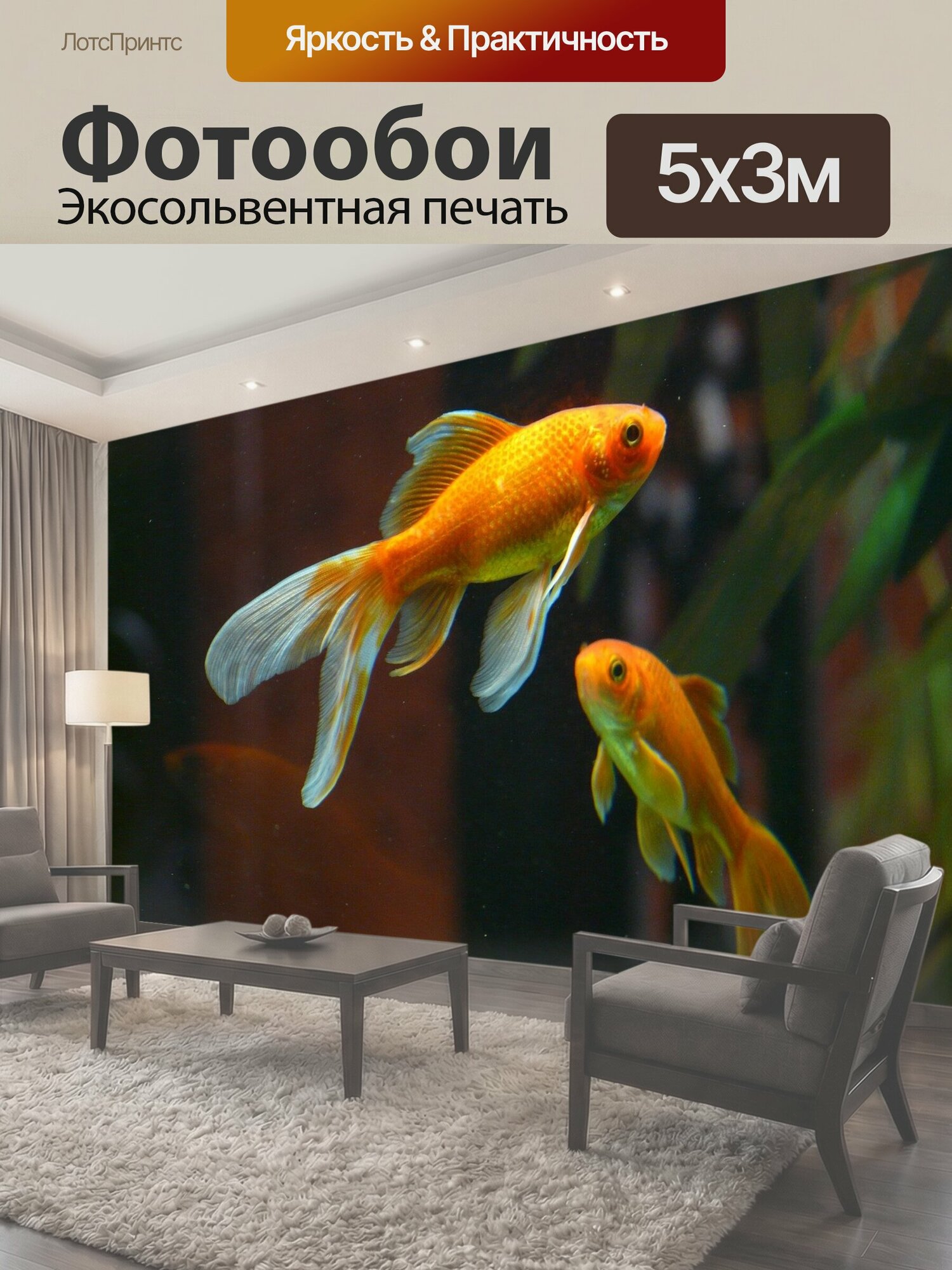 Фотообои "Вуаль хвоста, рыбы, золотая рыбка" 500x300 см. экосольвентная печать