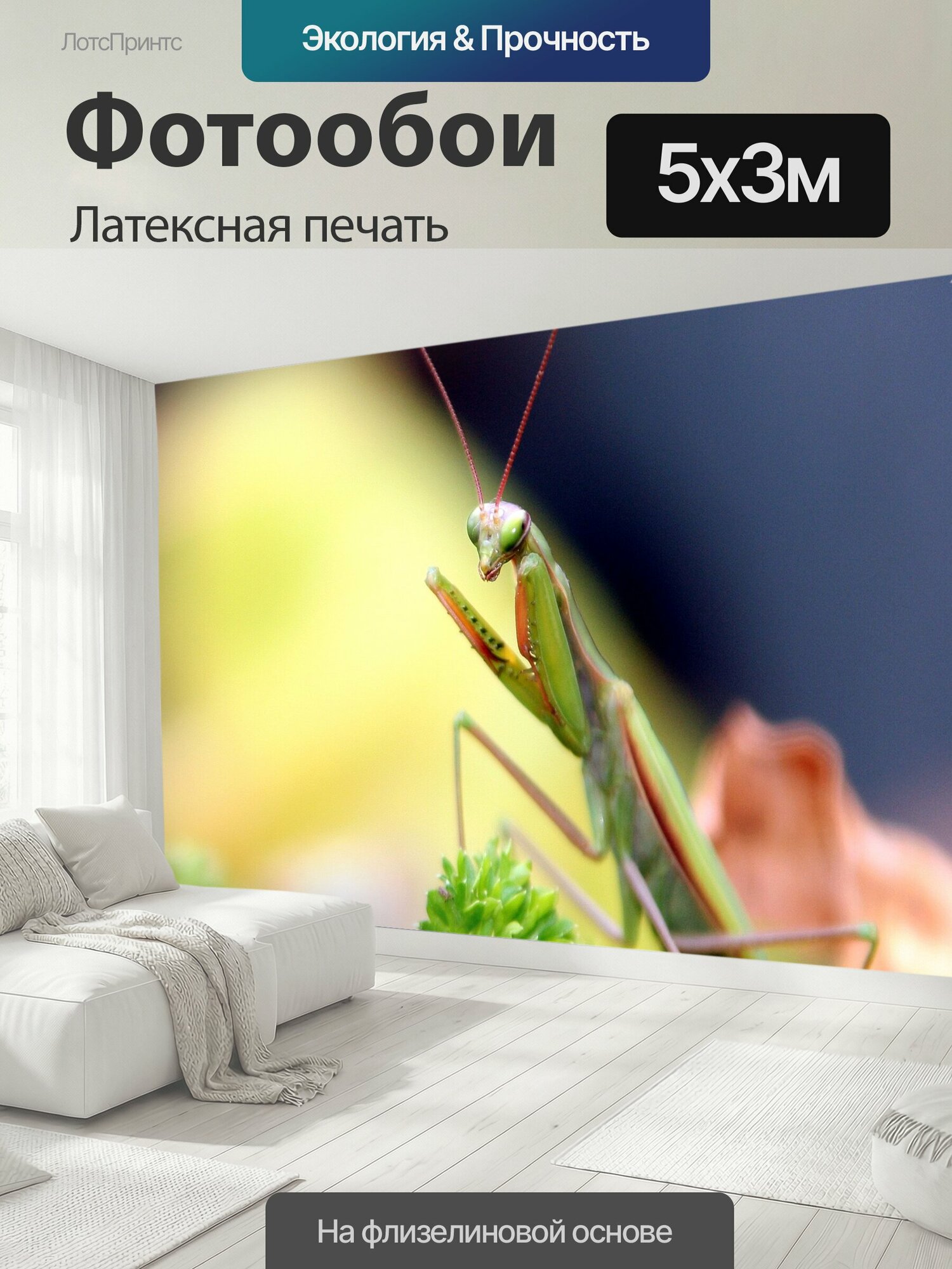 Фотообои моющиеся ударопрочные "Насекомое, богомол, кузнечик" 500x300 см. латексная печать