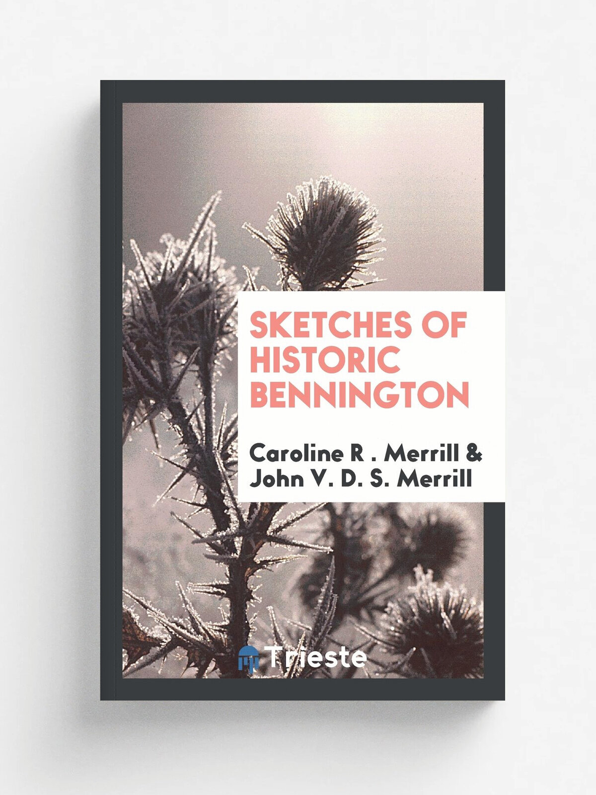 Sketches of Historic Bennington