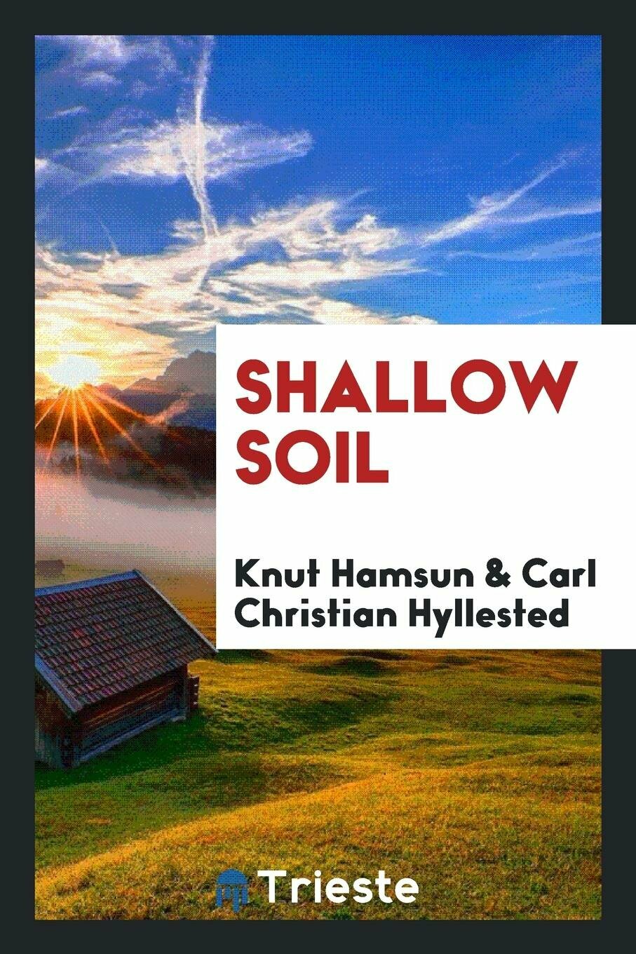 Shallow soil — фото 1
