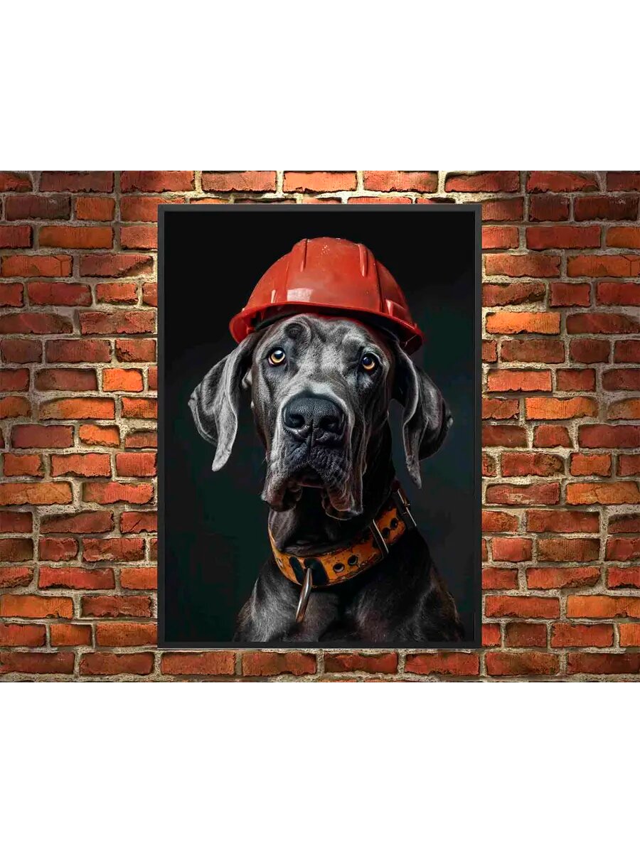 Немецкий дог-строитель 2, Плакат 30x42см