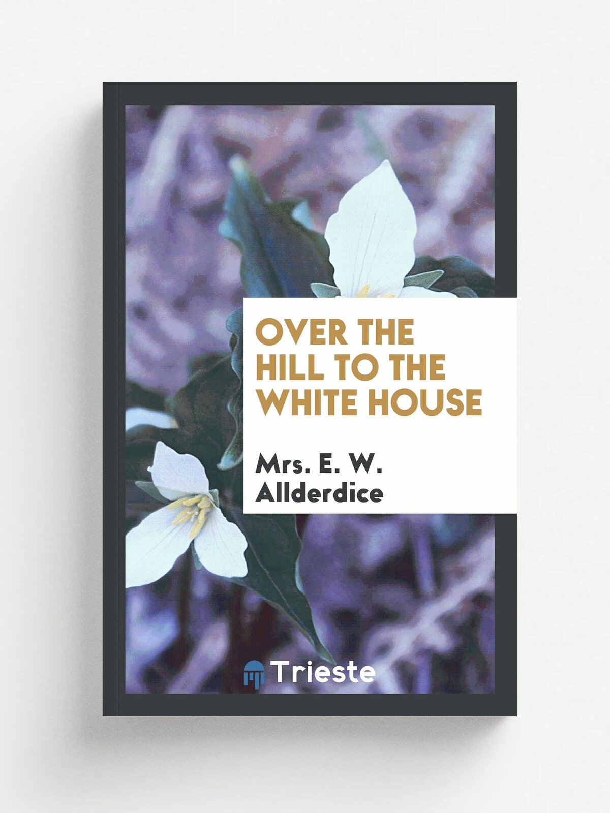 Over the hill to the White House