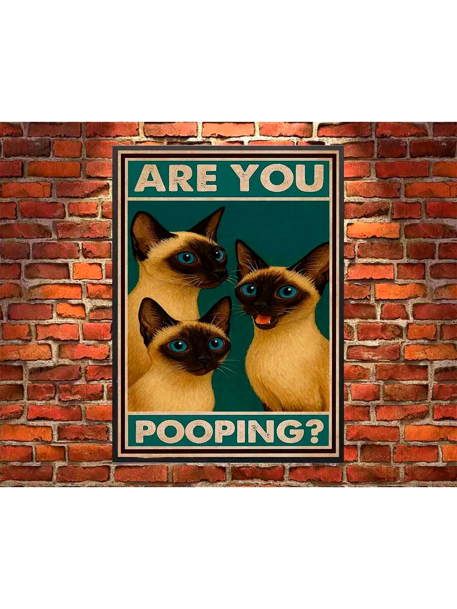 Сиамская кошка, Are You Pooping, Плакат 30x42см