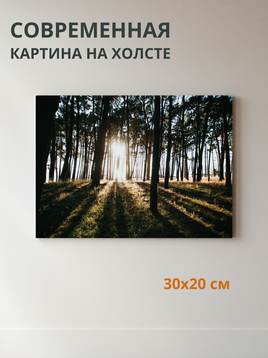Картина на холсте Лесной пейзаж 30x20 см