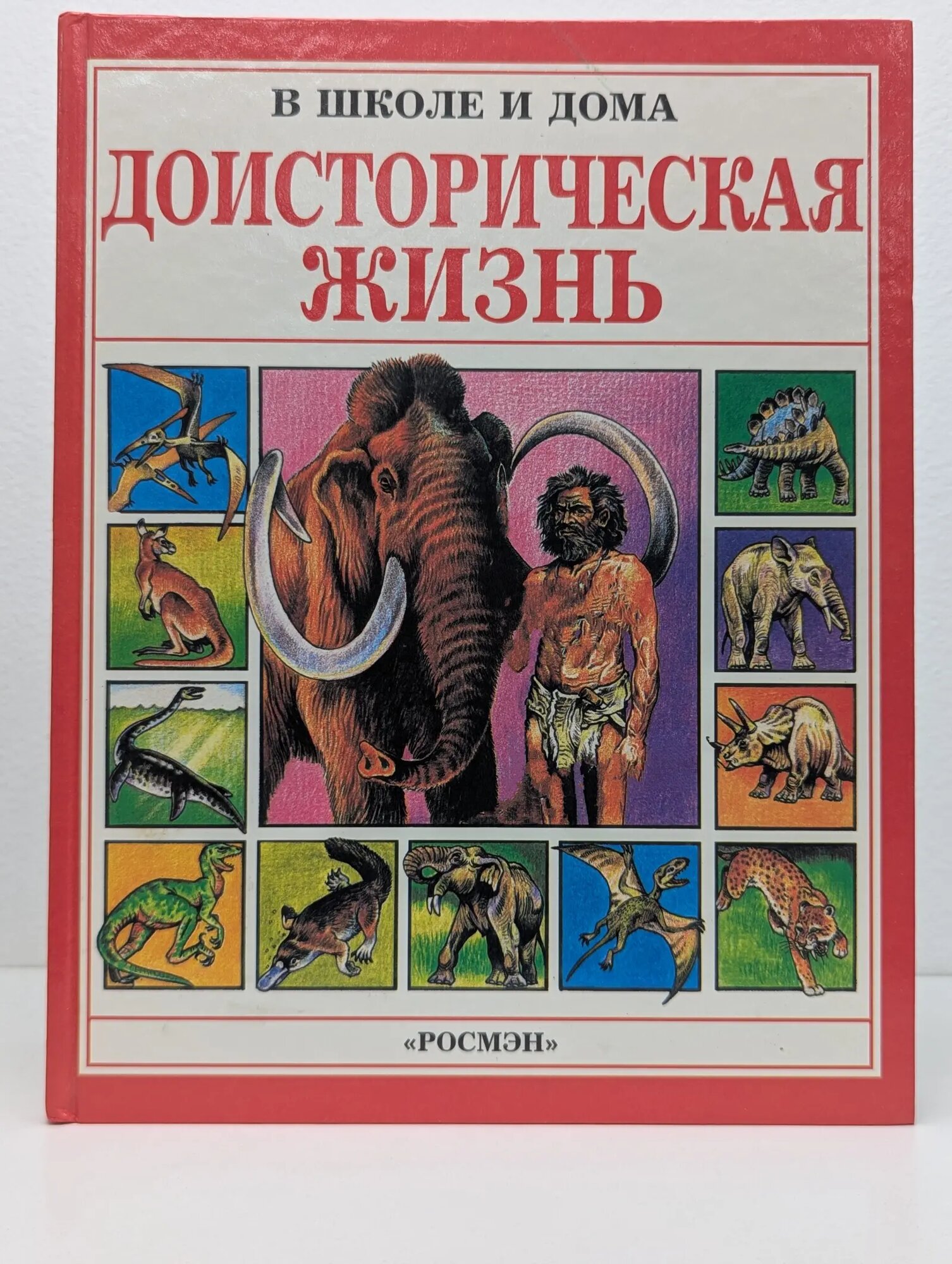 В школе и дома. Доисторическая жизнь Маккорд Анна-Линн 2000