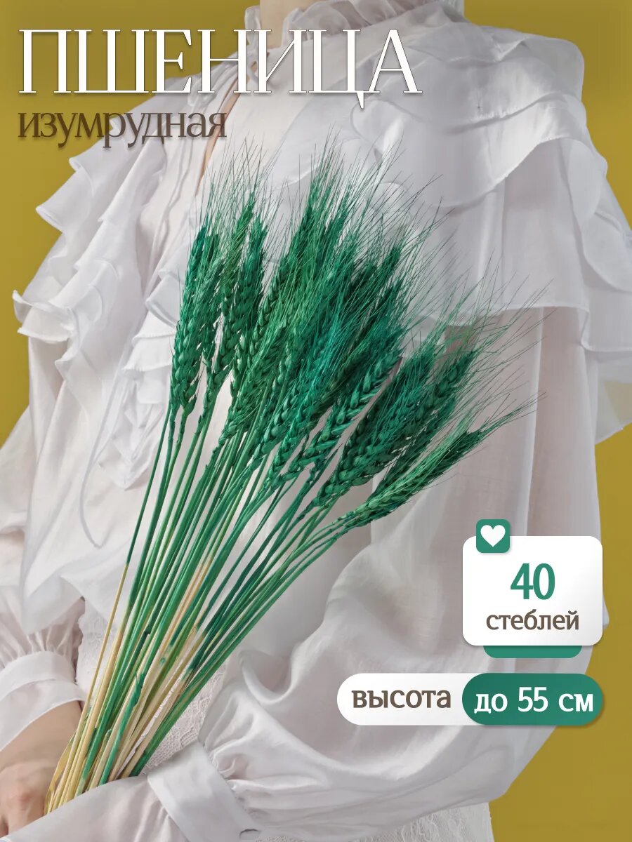 Пшеница изумрудная 40 шт, сухоцветы для декора и интерьера, elka.bio