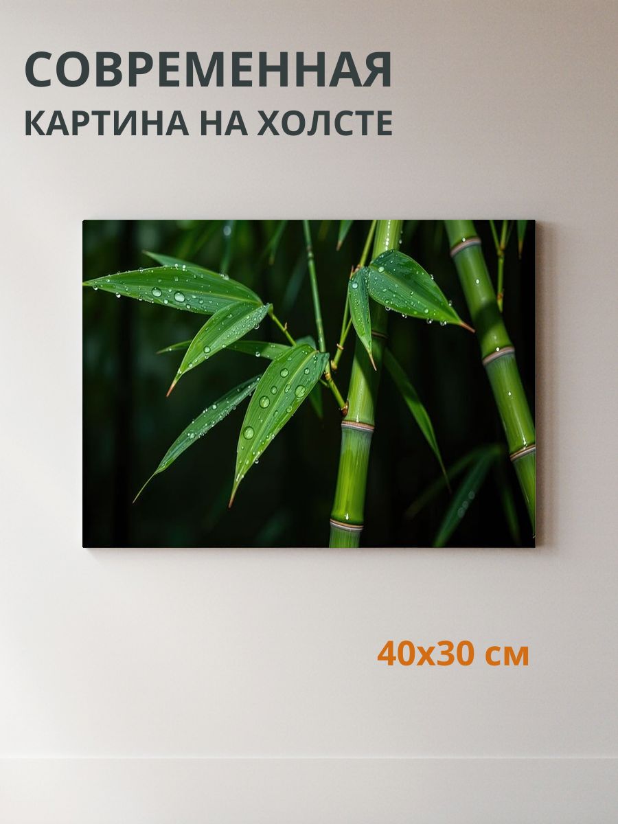 Картина на холсте Бамбуковые листья 40x30 см