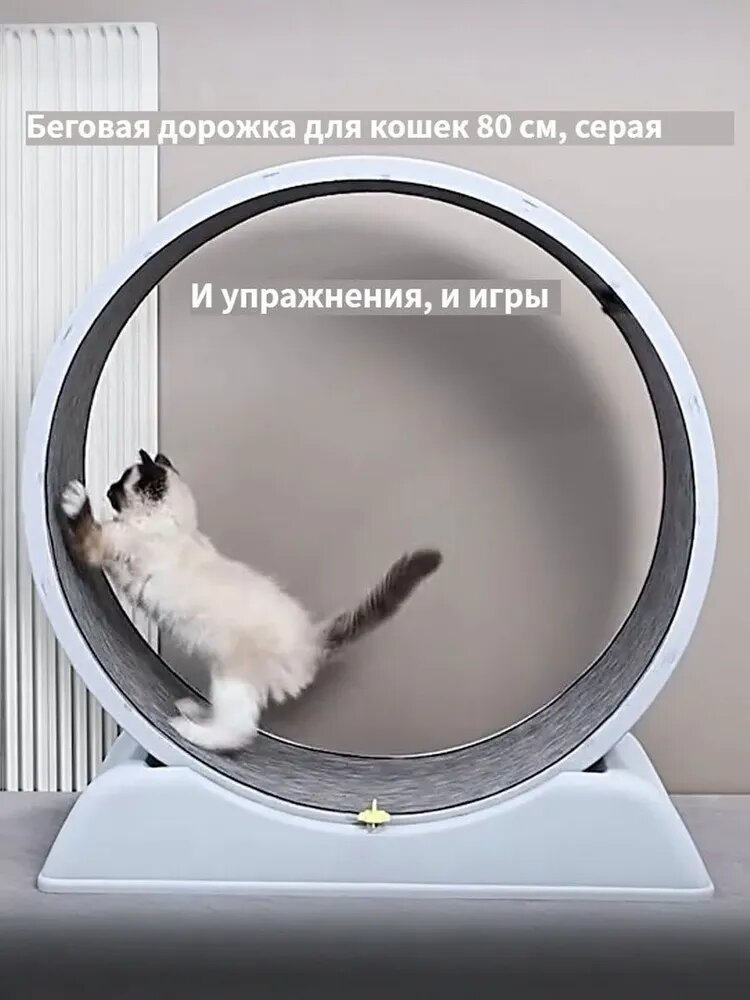 Беговая дорожка для кошек, 80 см, серая (с автоматическим кошачьим мячом, цена 500 руб.)