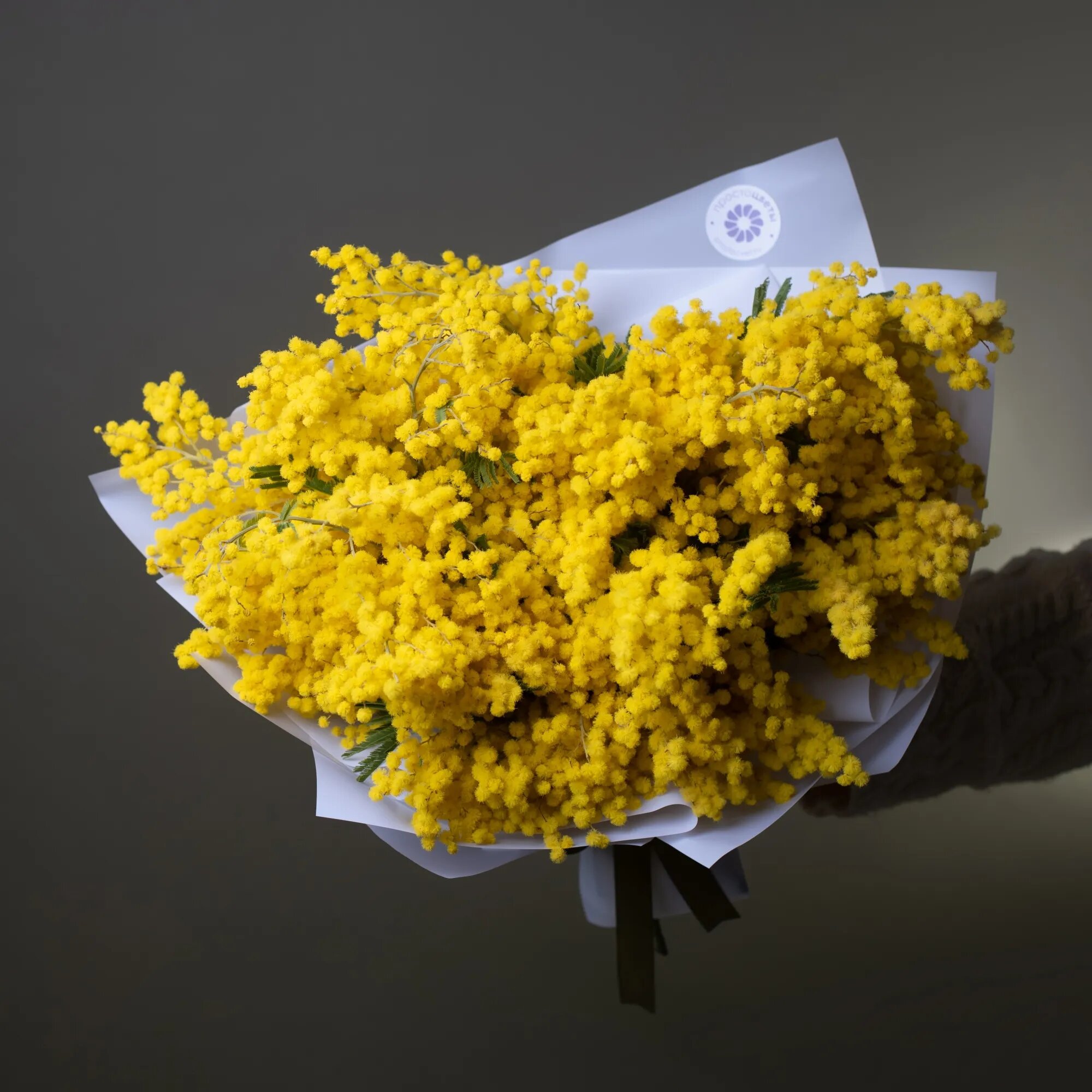 Букет Мимоза итальянская (1 стебель=1 пучок, 400 грамм) 7 шт Высота 60 см в коробке и аквабоксе от "Простоцветы"