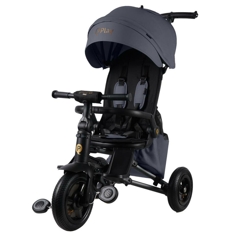 QPlay Sprinter Max S702, детский трехколесный велосипед от 10 месяцев до 6 лет, цвет Grey (Oxford/Graphite)