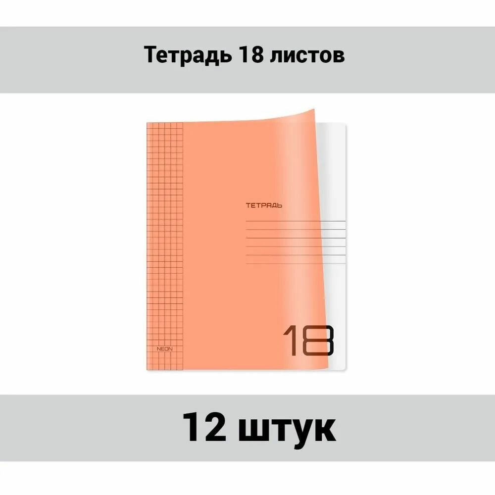 Тетрадь 18 листов линия BG UniTone. Neon, пластиковая обложка, неон оранжевый, 12 штук