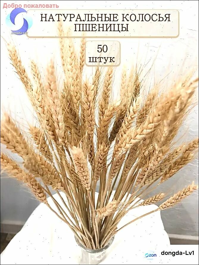 Сухоцветы Пшеница, 120 гр, 50 шт
