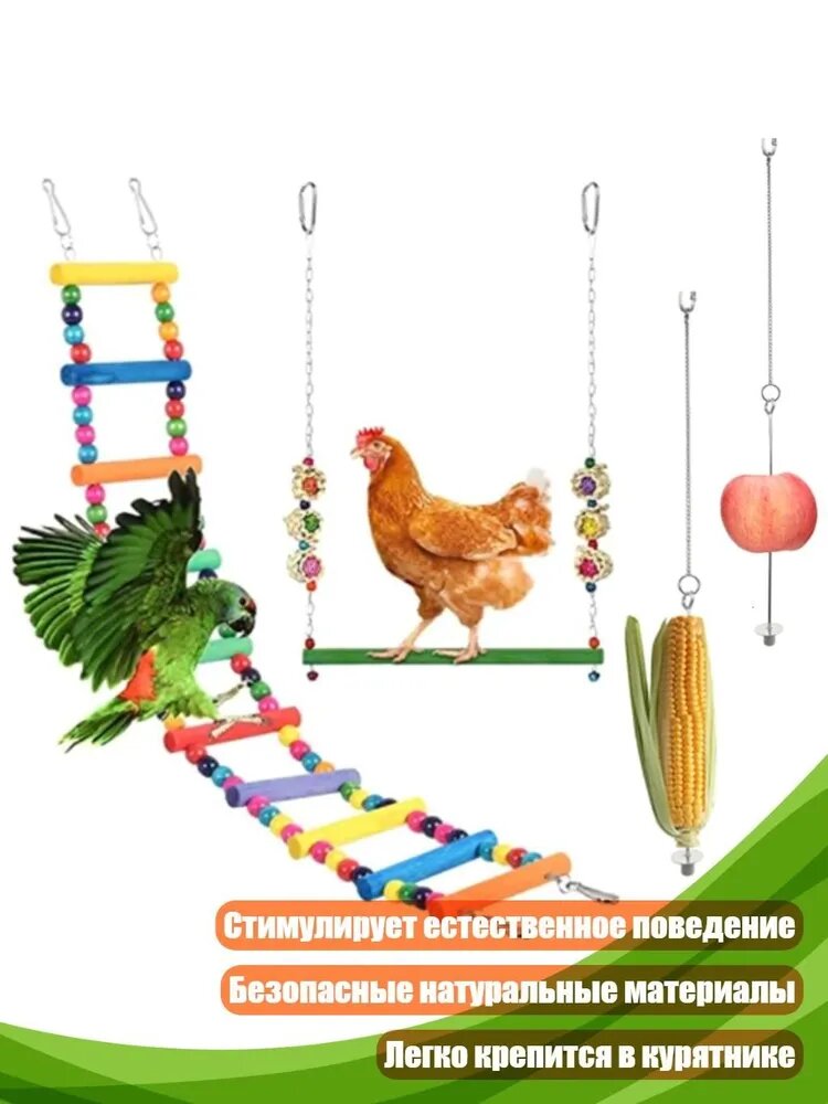 4 игрушки для кур: качели и металлические кормушки