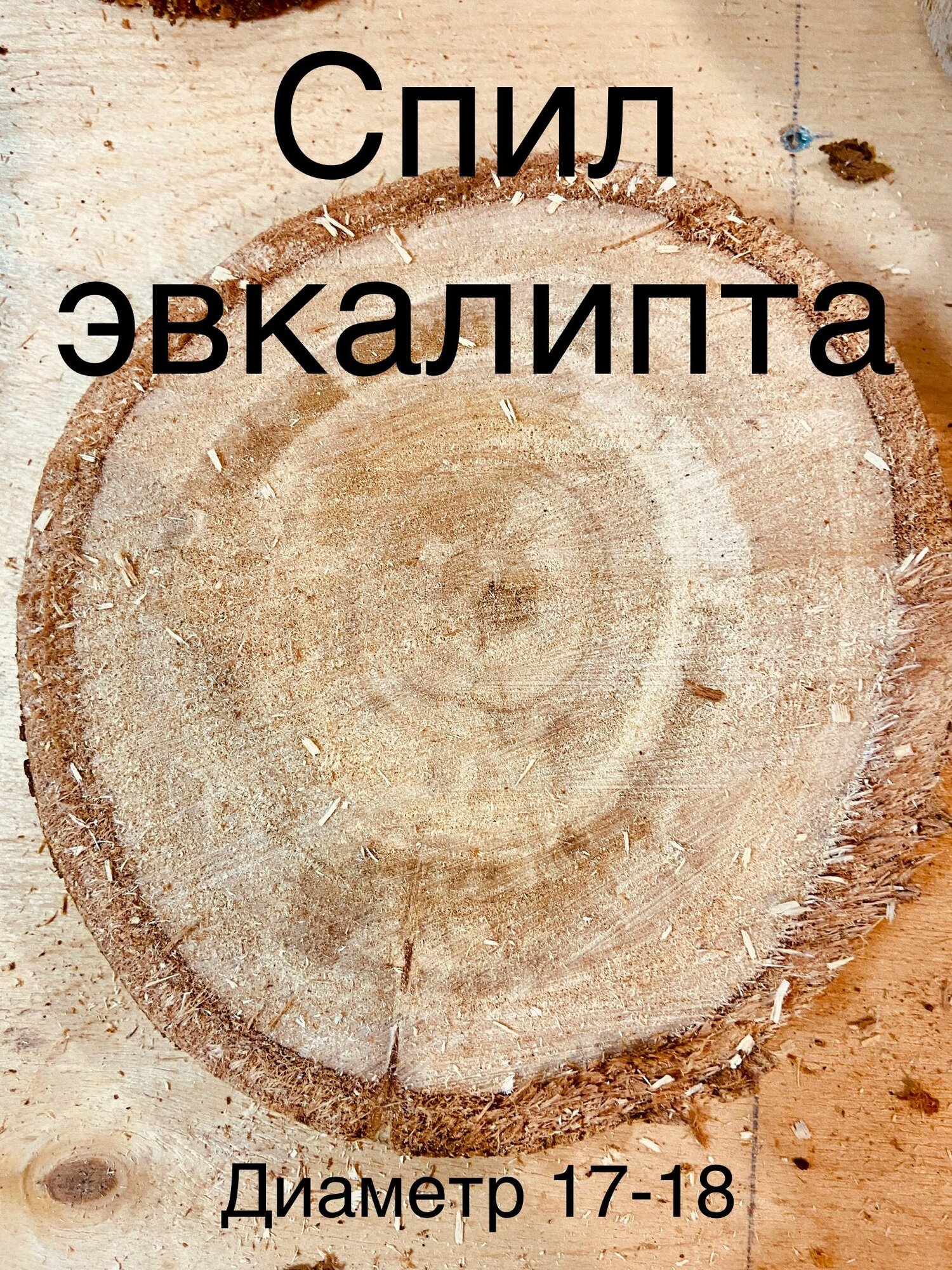 Спил Слэб Эвкалипта диаметр 17-18 см