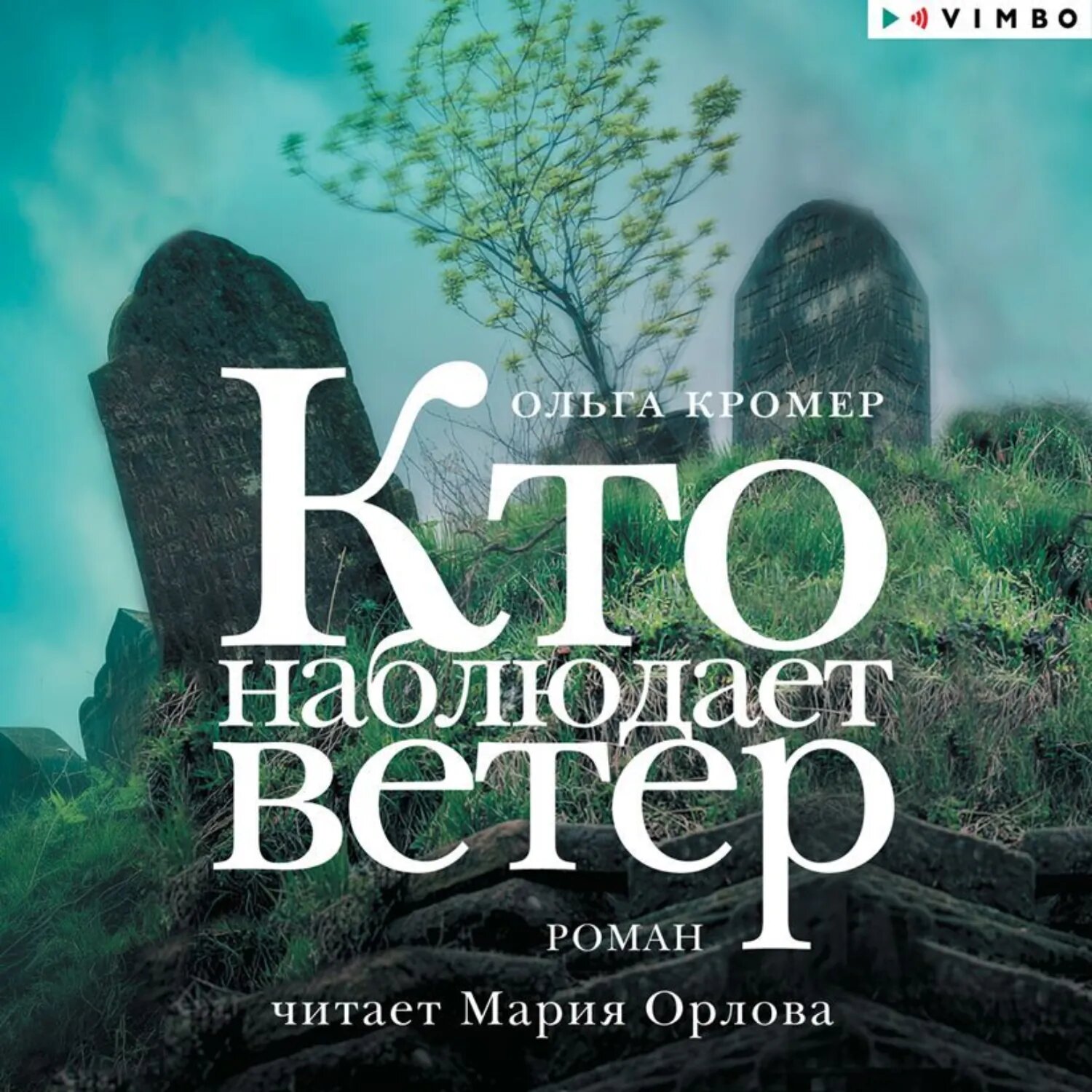 Кто наблюдает ветер [Аудиокнига]