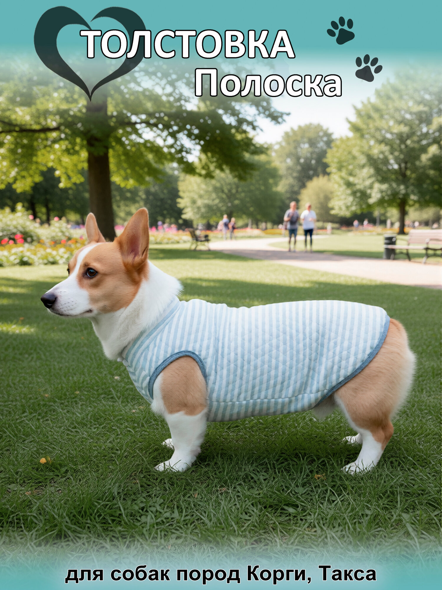 Толстовка, одежда для собак пород Корги, Такса "полоска", размер 2XL, Rexy crew