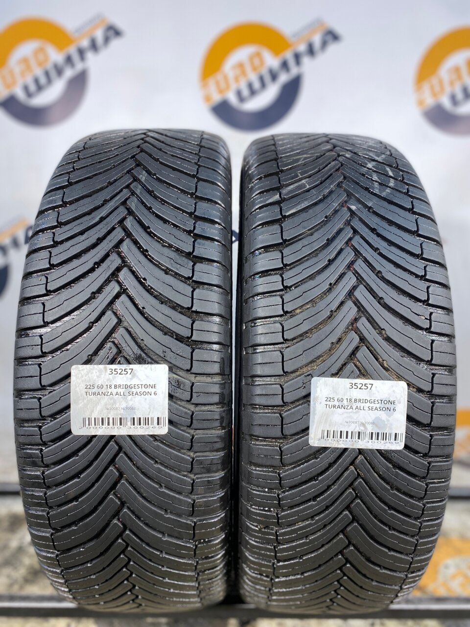 Шины Bridgestone Weather Control A005 225/60R18 100H