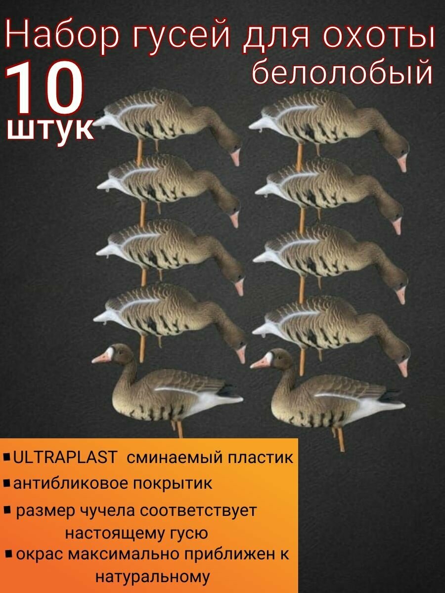 Чучело