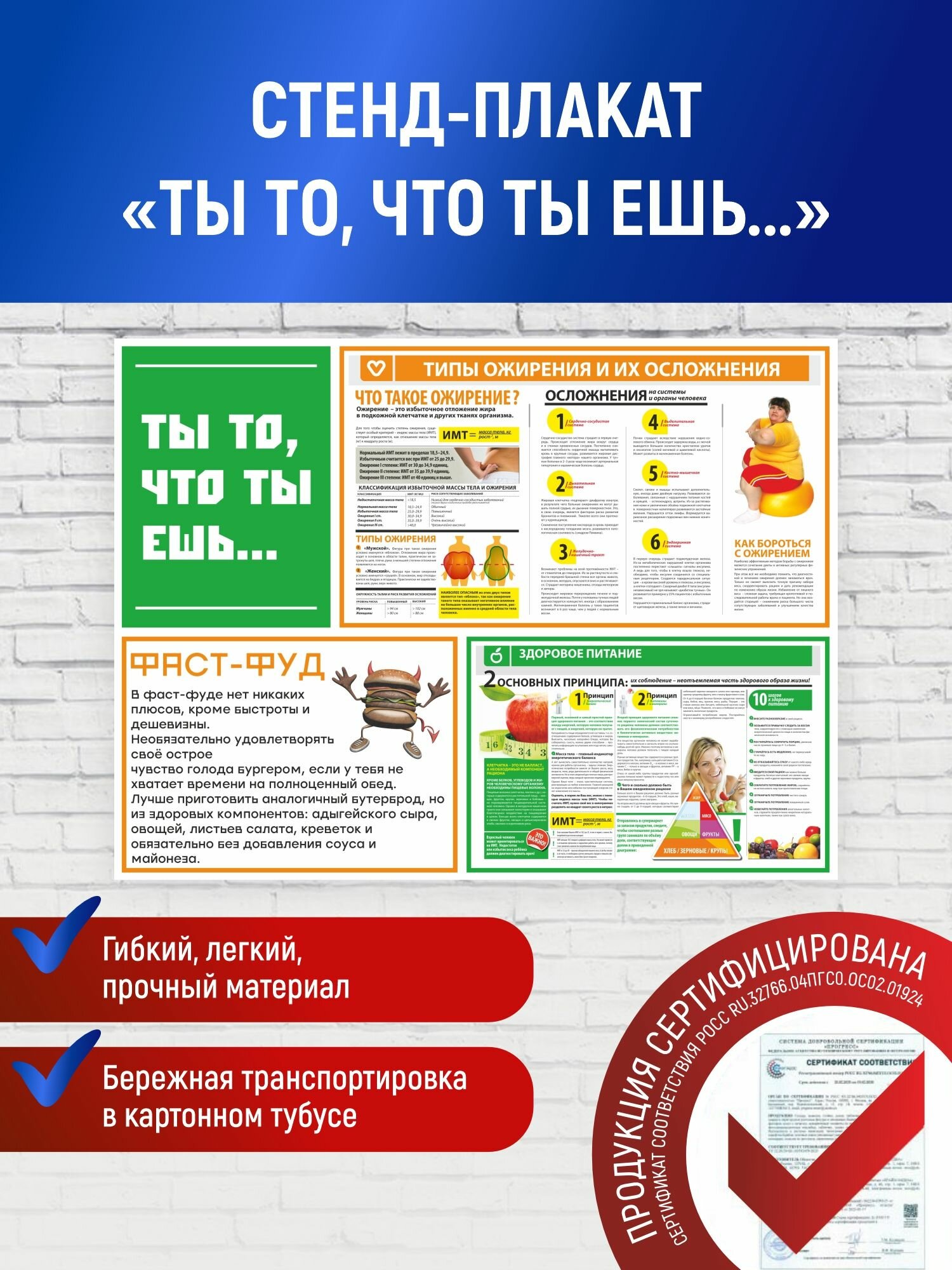 Плакат информационный о правильности питания, вреде фастфуда "Ты то, что ты ешь", 800 х 600 мм, пэт + печать, Stendplus