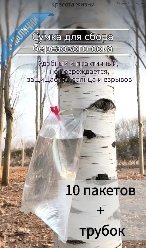 Плодосборник для сбора березового сока, 10 пакетов + трубок, прозрачный, 50х32х50см
