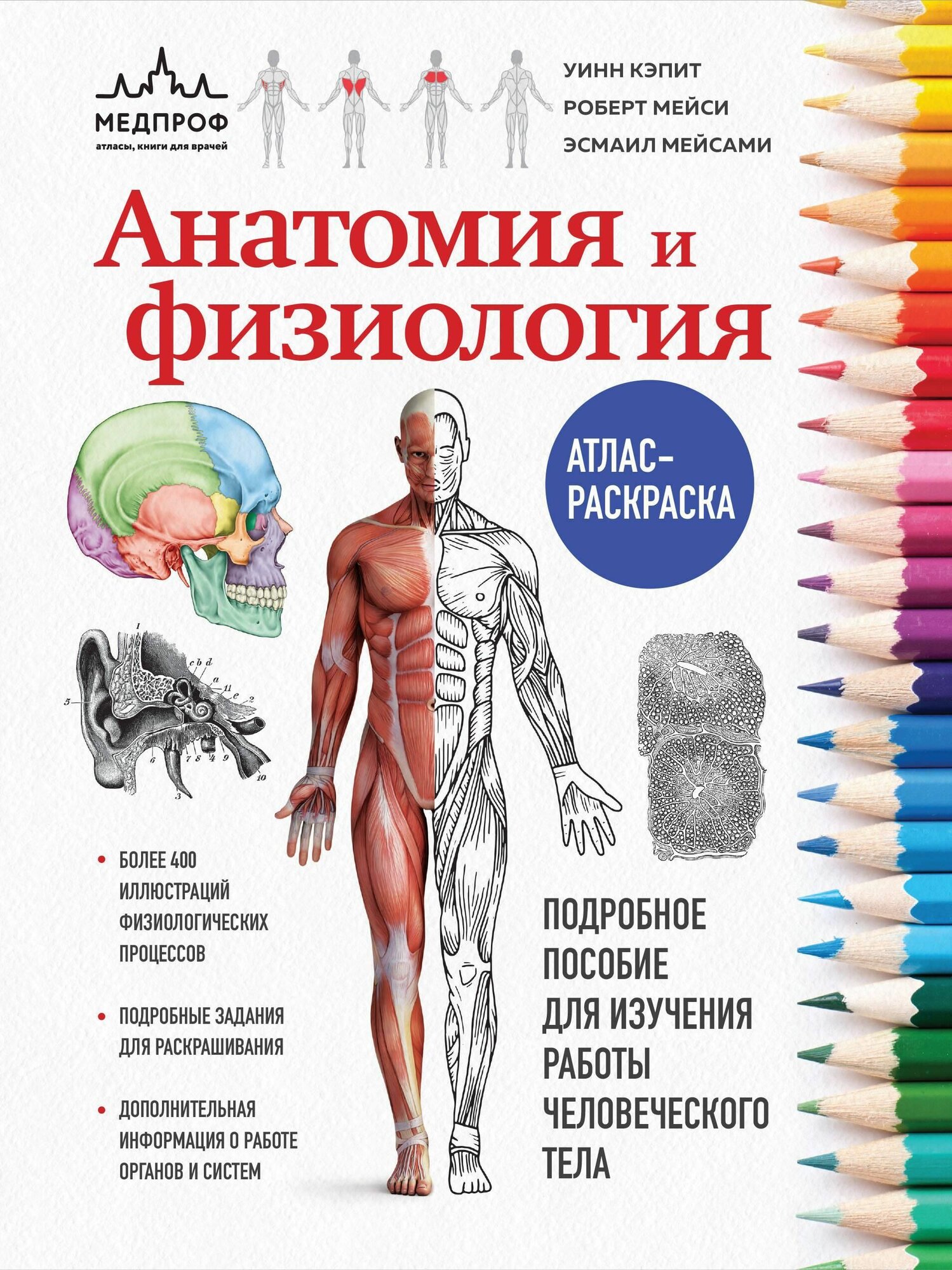 Анатомия и физиология. Атлас-раскраска