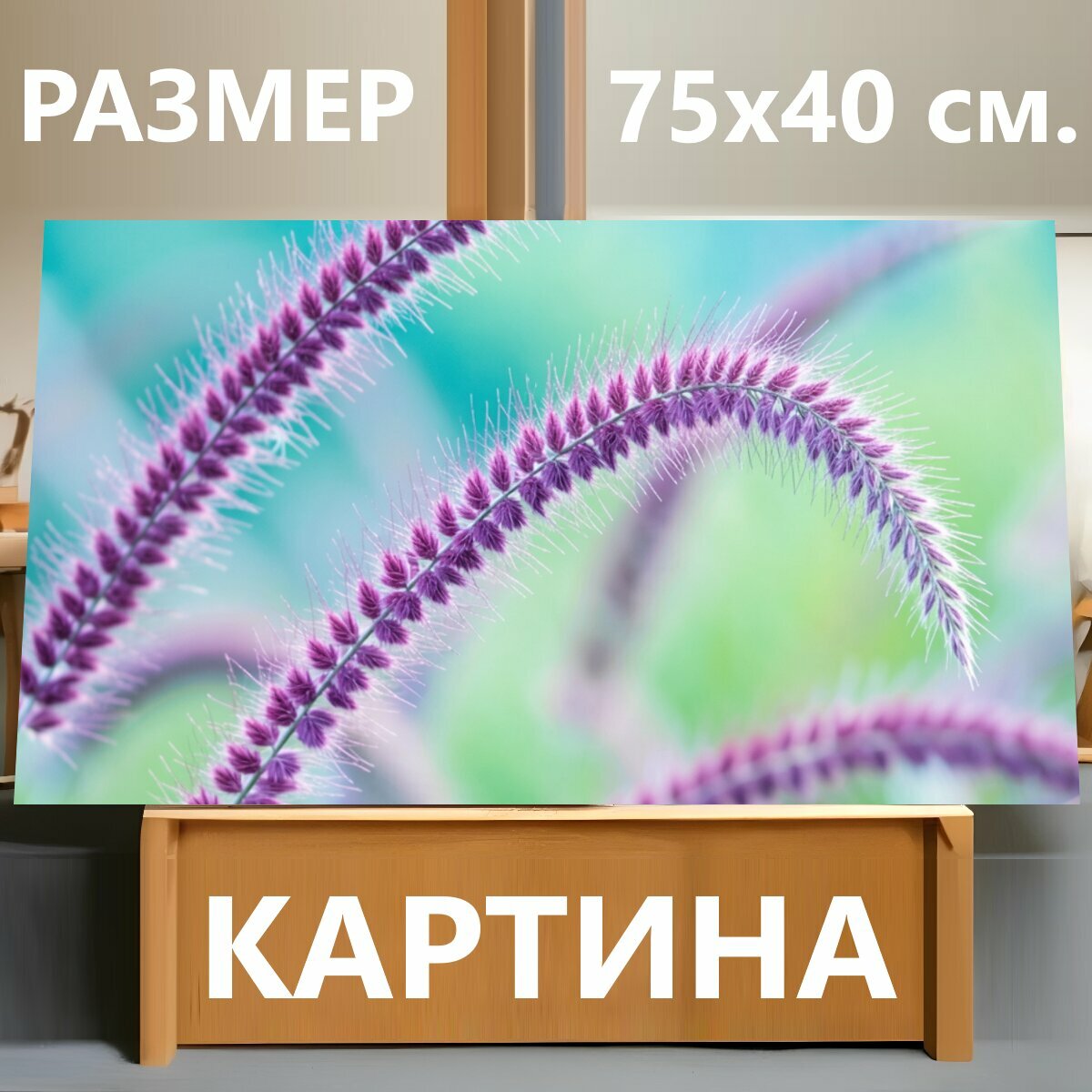 Картина на холсте "Пурпурные злаки на мягком фоне. Нежные фиолетово-розовые колоски с пушистой текстурой на размытом бирюзово-зелёном фоне." на подрамнике 75х40 см. для интерьера