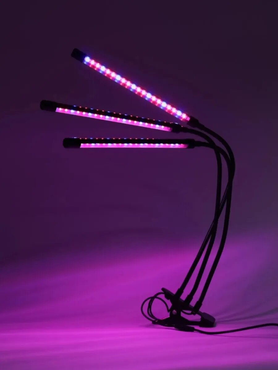 Фитолампа для растений