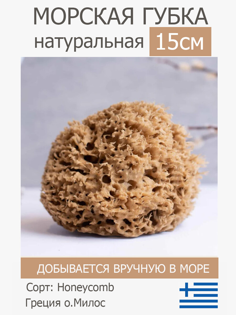 Губка морская натуральная Milos, HONEYCOMB, 15-16 см Греция (о. Милос)
