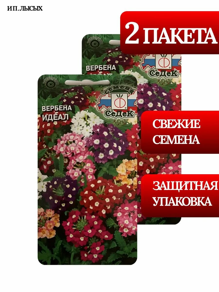 Семена Вербена "Идеал"