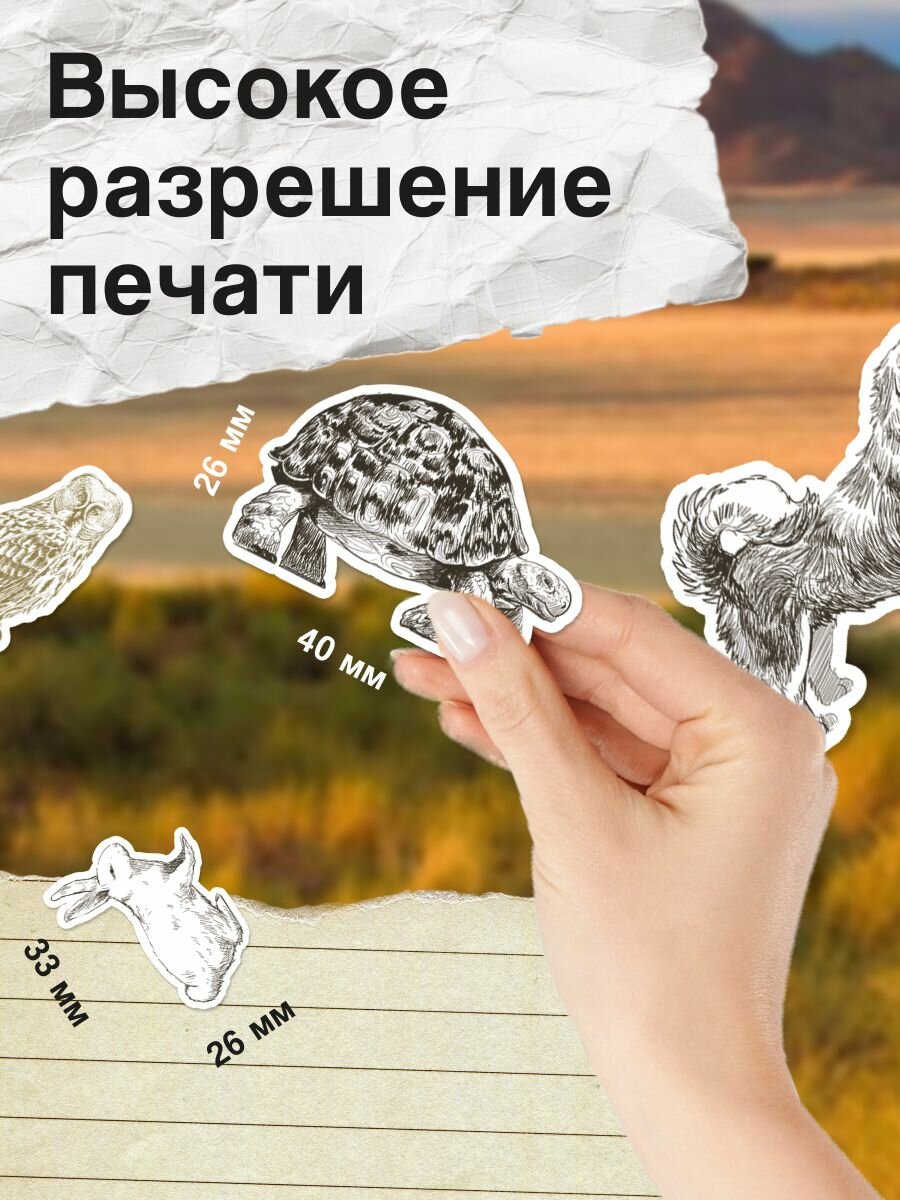Набор наклеек, животные, для творчества, для скрапбукинга, 75 штук — фото 1