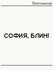 Термонаклейка для одежды и аксессуаров DTF-печать София, блин