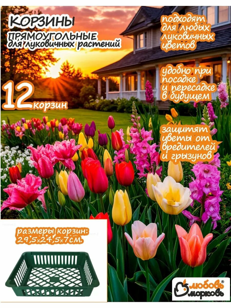 Корзина для луковичных растений, прямоугольная, 12 шт