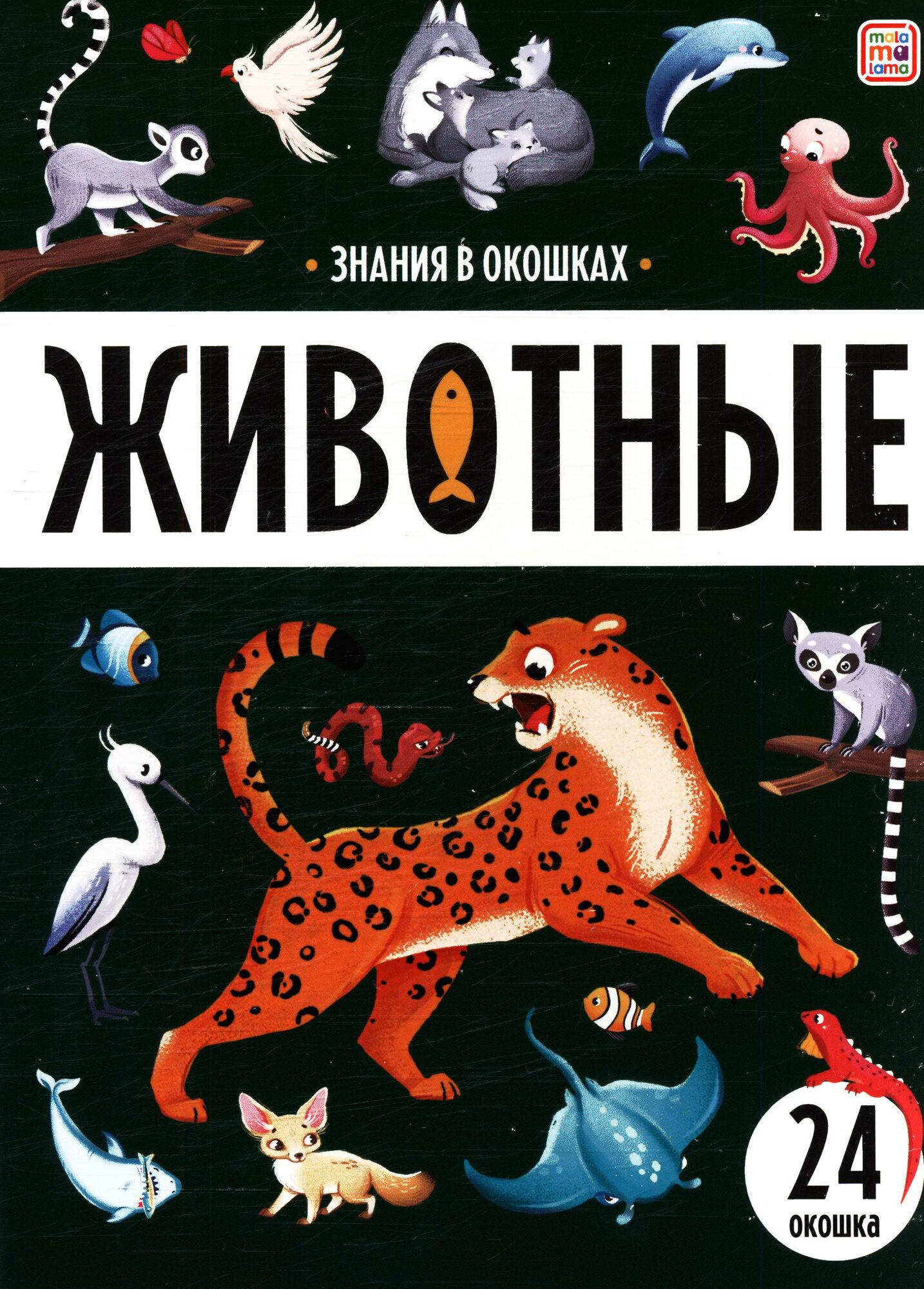 Знания в окошках. Животные