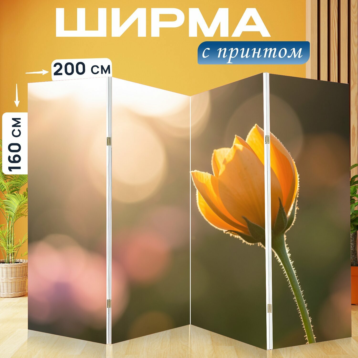 Ширма "Оранжевый бутон в солнечном свете. Нежный макро-сюжет с распустившимся бутоном на тонком стебле, теплые." перегородка для зонирования комнаты с принтом 200x160 см. на холсте