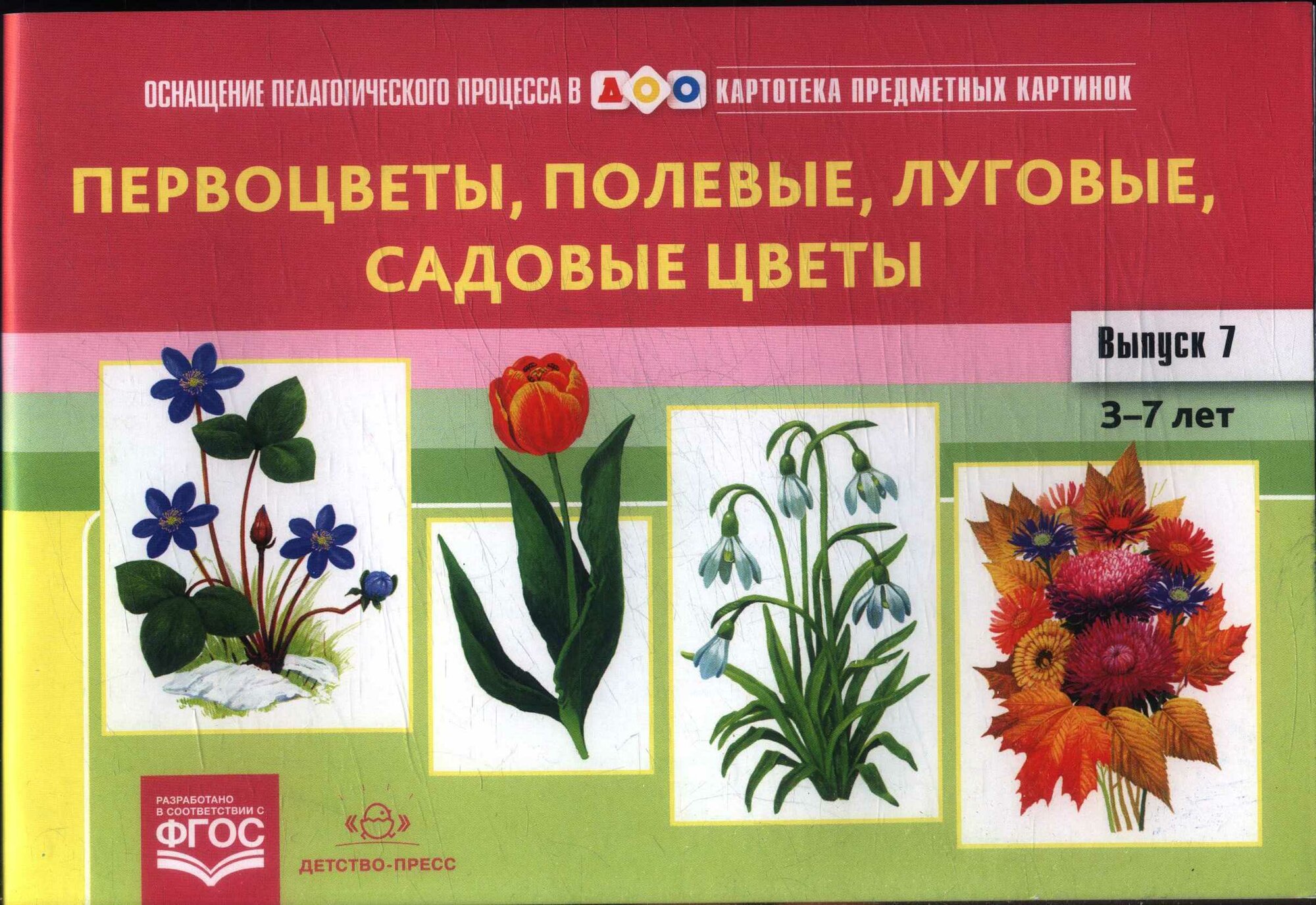 Картотека предметных картинок. Выпуск 7. Первоцветы, полевые, луговые, садовые цветы. 3-7 лет. ФГОС