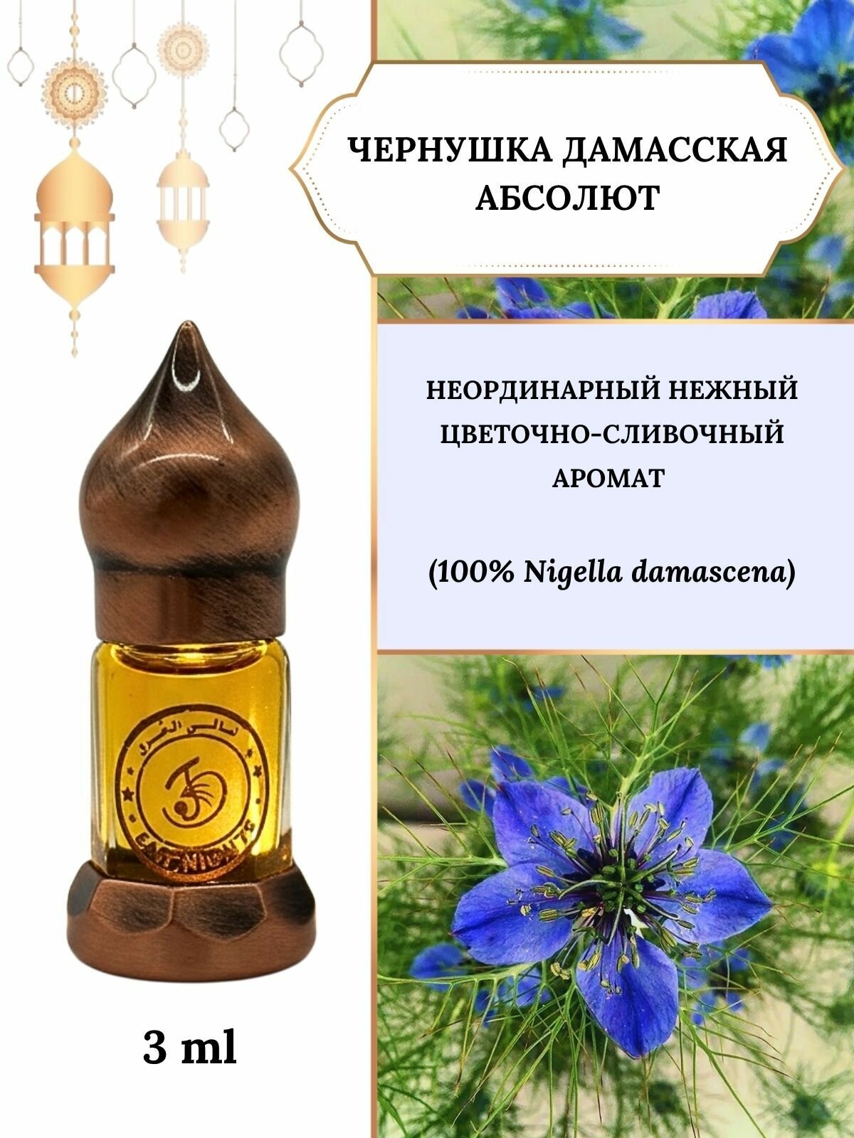 Чернушка дамасская абсолют