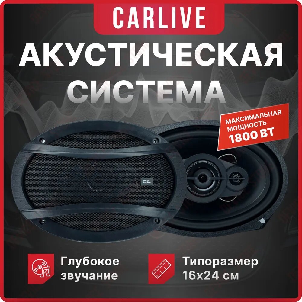 CARLIVE TS-6995 Колонки автомобильные 6' x 9' (15x22.5 см) 5-полосные коаксиальные динамики