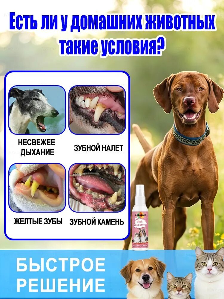 Спрей для полости рта для кошек и собак, удаляет зубной налёт и зубной камень, освежает дыхание, устраняет бактерии, не требует чистки зубов, безопасный и съедобный 30 мл